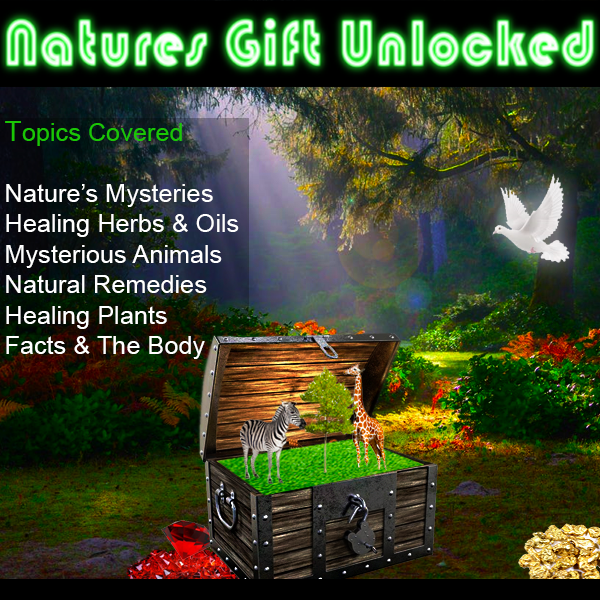 Cool Facts About Nature & The World Enter Now - NGU